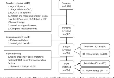Figure 1 From A Cohort Study Of The Efficacy And Safety Of Immune