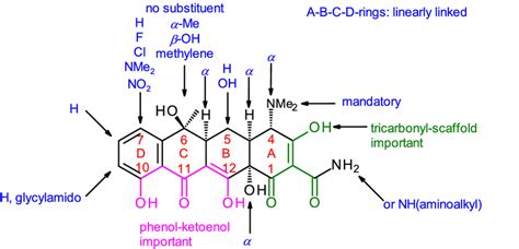 Structure Activity Relationships Of The Tetracycline Class Of Compounds
