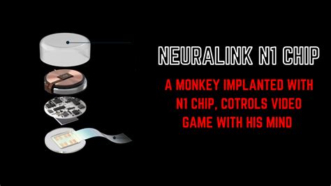Neuralink Chip Implanted Monkey Plays Pong With His Mind Buggy Programmer