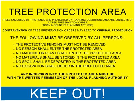 Example Tree Preservation Order At Norris Carrico Blog