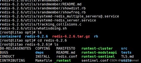 10步xshell快速搭建服务器redis环境（redis）xshell安装redis Csdn博客