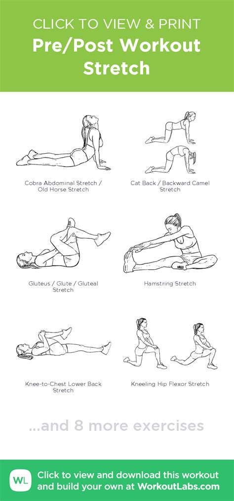 Pre Workout Stretches Artofit