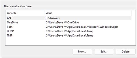What Are Values Of User Environment Variable By Default Set On Windows