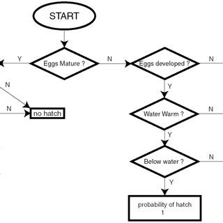 Algorithm For The Determination Of Egg Hatch Probabilities Process Download Scientific Diagram