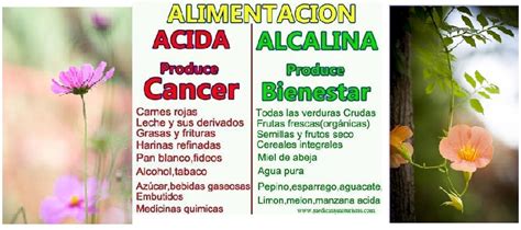 Ashamel Lemagsa Cómo Alcalinizar El Cuerpo Con Los 3 Pilares Básicos