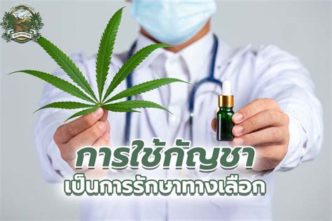การใช้กัญชาเป็นการรักษาทางเลือก เพื่อประโยชน์ทางสุขภาพ Sky Cannabis