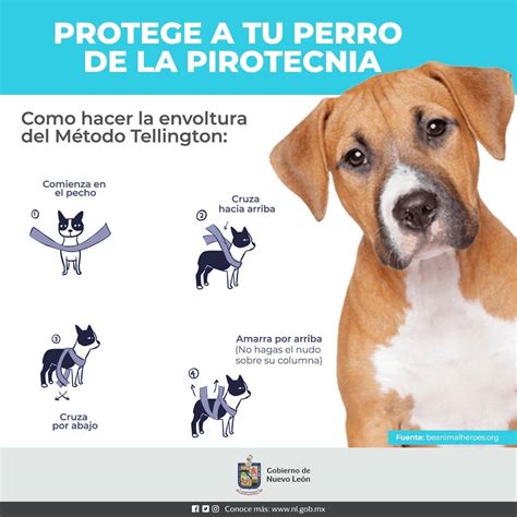El Uso De Pirotecnia Asusta Y El Gobierno De Nuevo León