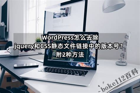 wordpress怎么去除jquery和css静态文件链接中的版本号？附2种方法
