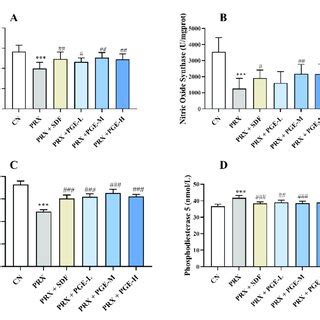 Effect Of PGE On The Contents Of NO NOS CGMP And PDE5 In The Penile Download Scientific