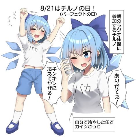 8 21はチルノの日 pixiv年鑑 β
