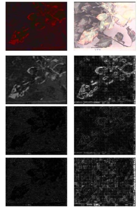 Leaves Absolute Mode RGB Splitting And Edge Detection Figure Shows Download Scientific