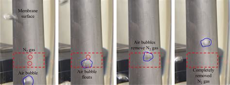 Snapshots Of The Removal Of The N Gas Formed On The Membrane Surface Download Scientific