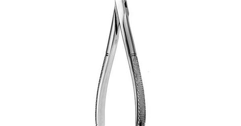 Lower Root Forceps