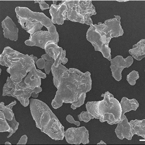 Sem Image Of Irregularly Shaped Stainless Steel 316l Feedstock Powder