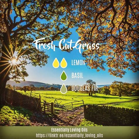 Refreshing Aroma Grass Diffuser Blend