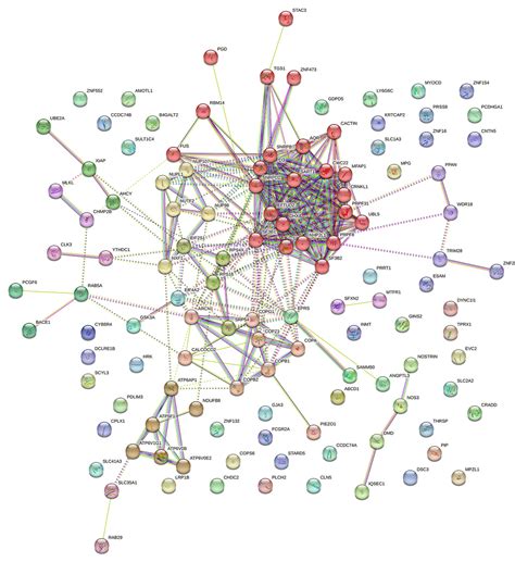 Bioinformatics 5 Clustering Algorithm For Protein Protein Interaction Network Part 3 — Flow
