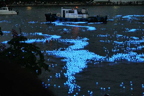 Firefly Squid Season In Toyama Japans Glowing Ocean Secret