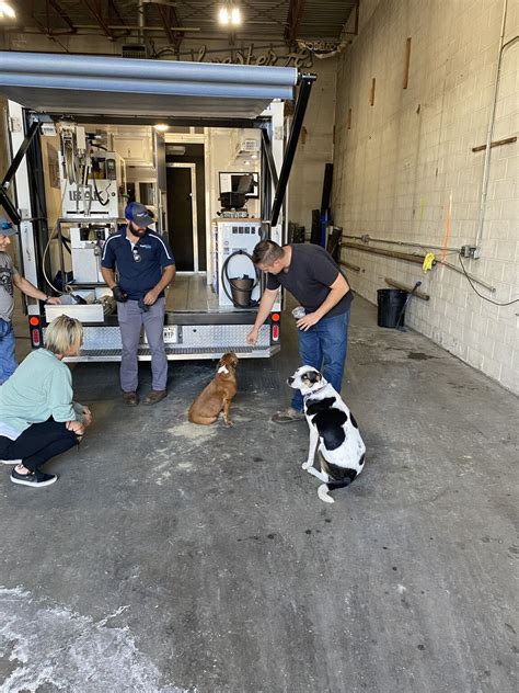 Wilson Lee On Linkedin Rapidview Ibak Cctv