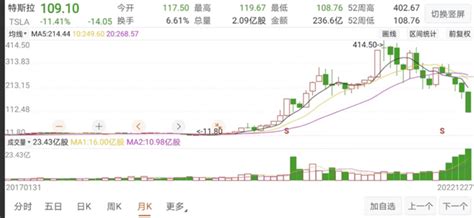 特斯拉“暴跌”拖累百亿私募？价值大佬2022年“终章”暗淡