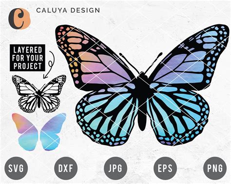 Holographic Butterfly Svg Cut File For Cricut Cameo Etsy
