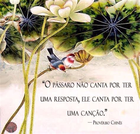 Provérbio chinês Provérbios chineses Provérbios Frases legais
