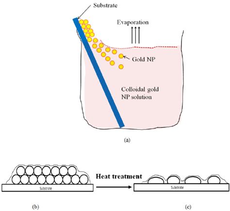 Fabrication Strategy Of The Gold Nano Island Structure On A Substrate Download Scientific