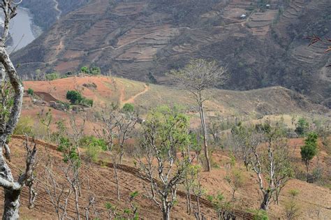 Nepal Wsi Nepalu Wiejski Darmowe zdjęcie na Pixabay Pixabay