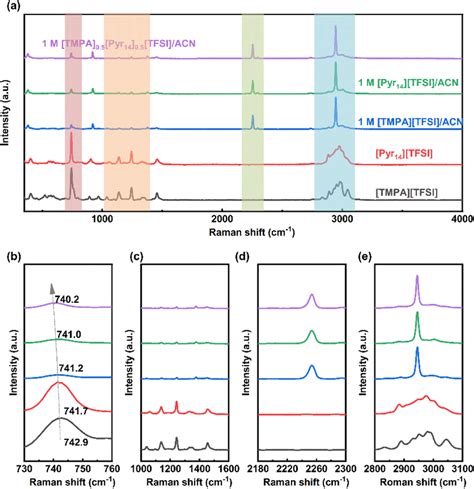 Raman Spectra Of Hybrid Electrolytes In Different Frequency Ranges A