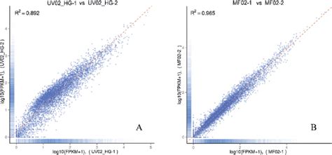 The Pearson Correlation Coefficients Of Determination R 2 Between