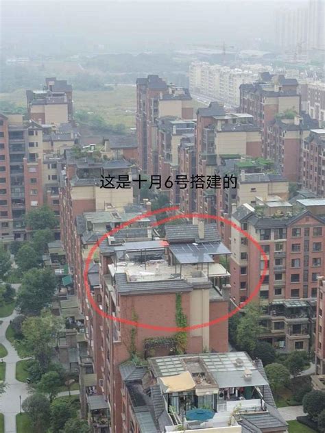 沙坪坝区土主街道金科天宸8街区屋面全是违章搭建 重庆网络问政平台
