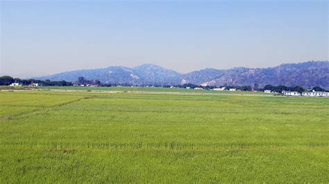 تعليقات ومقارنة أسعار فندق هوتل ‪corbett Solitaire Resort Dhela‬ ‪ramnagar‬ الهند فندق