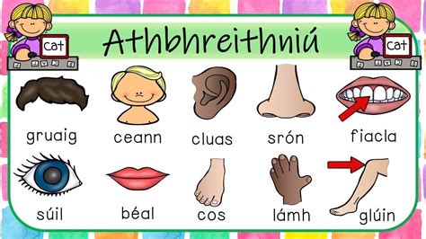 Mash Games Cluichí Mé Féin Bundle Lesson Presentations Posters