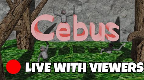 Cebus Vr With Viewers 🔴 Live Youtube