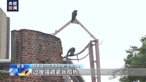 日本专家：七国集团挑起冲突 加剧世界动荡