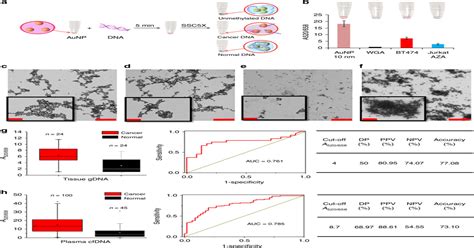 New Promising Nano Based Technique To Detect Cancer
