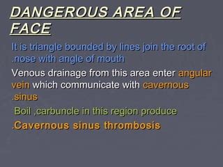 Anatomy Of Scalp Ppt