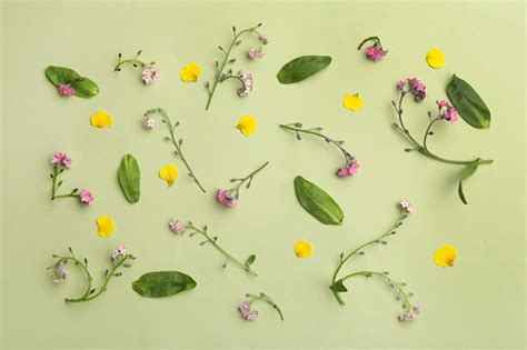 밝은 녹색 배경에 잊지 나 아니 꽃과 아름다운 구성 평면 평지 0명에 대한 스톡 사진 및 기타 이미지 0명 4월 계절