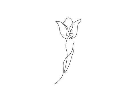 Premium Vector Continuous One Line Drawing Of Tulip Flower