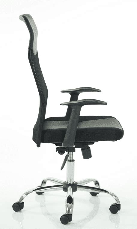 Dynamic Vegalite Mesh Chair With Lumbar Support And Leather Seat