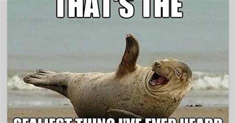 Spammed My Girlfriend With Animal Puns For Her To Wake Up To She Said