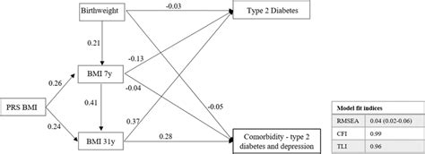 Path Diagram Illustrating The Relationship Between Adiposity Measures