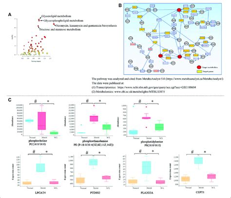 Integrated Analysis Of Transcriptomics And Metabolomics A The