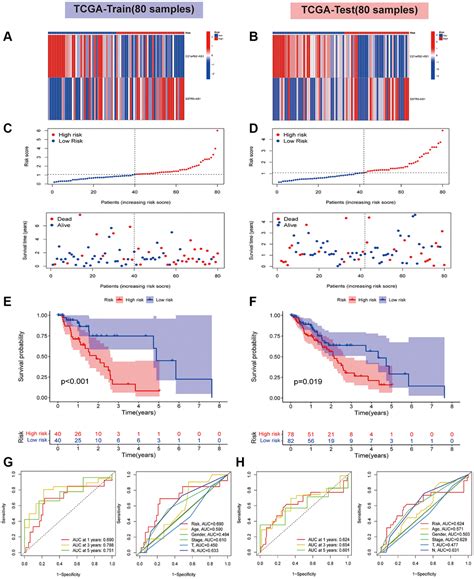 Novel Histone Acetylation Related Lncrna Signature For Predicting