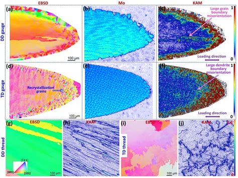 Ebsd Orientation And Kam Maps As Well As Eds Mo Maps Measured From The Download Scientific