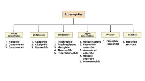 Extremophiles Definition Classification Examples Biology Notes Online