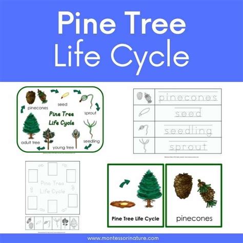 Free Printables Montessori Nature Resource Library Montessor