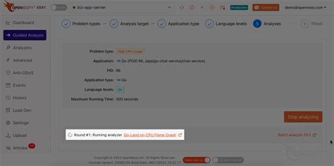 Pinpointing The Hottest Go Code Paths With High Cpu Usage Using