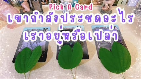 Pick A Card 💓เขากำลังประชดอะไรเราอยู่หรือเปล่า💓 Love Story Tarot Ep10