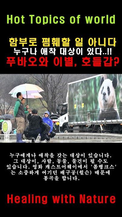 푸바오와의 이별 왜 이렇게 호들갑 누구나 애착의 대상이 있다 Youtube