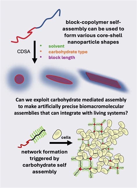 Research — The Roberts Lab